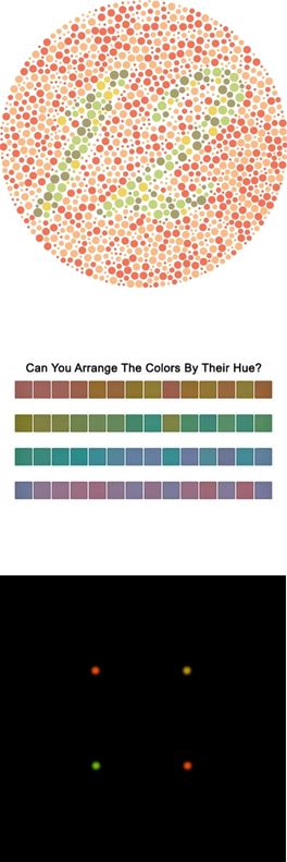 Colour Blindness | Eye Clinic Opticians